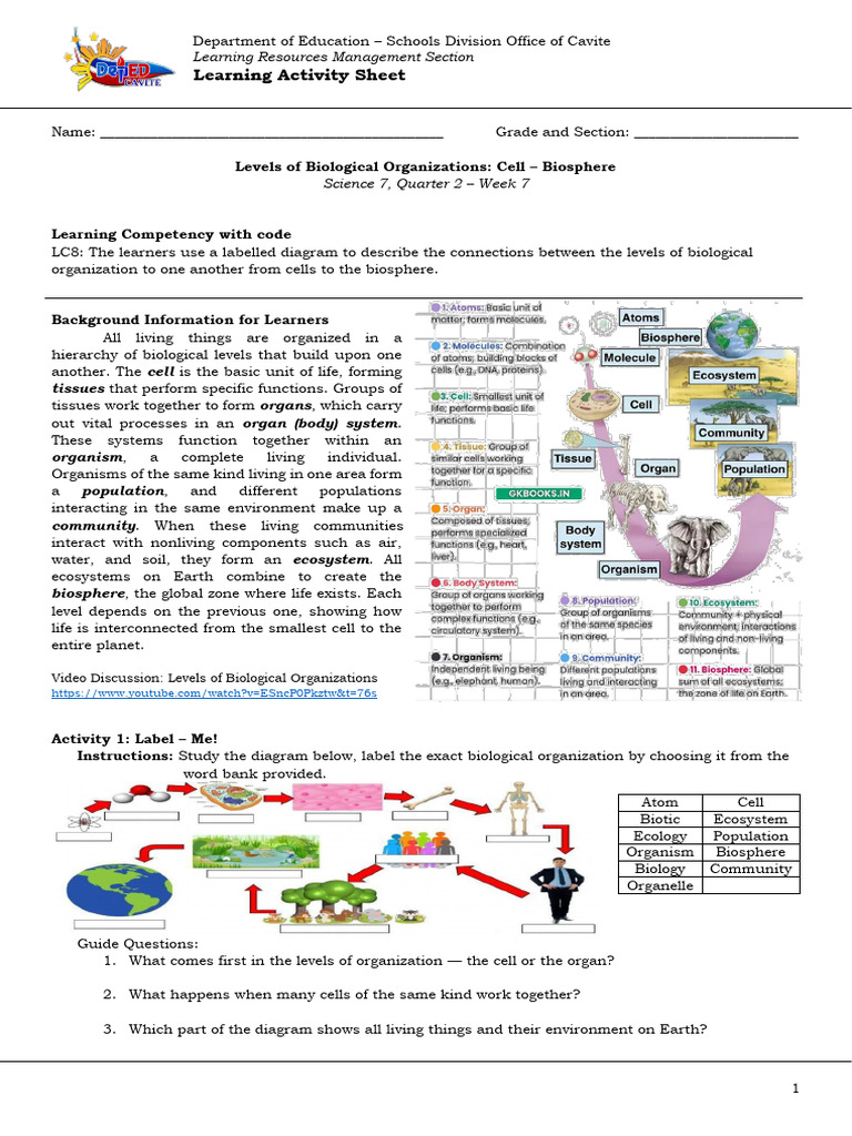 g7 Las Lc8 Levels of Biological Organization | PDF | Ecosystem | Organisms