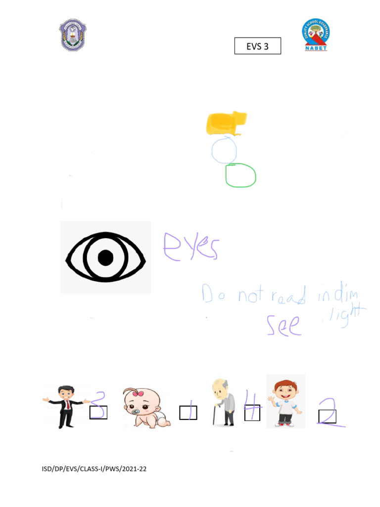 PWS 3- My Body | PDF