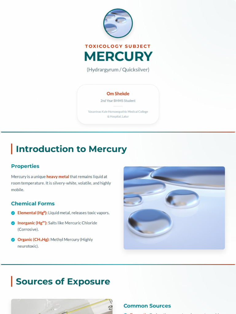 Toxicology of Mercury (Light Theme) | PDF