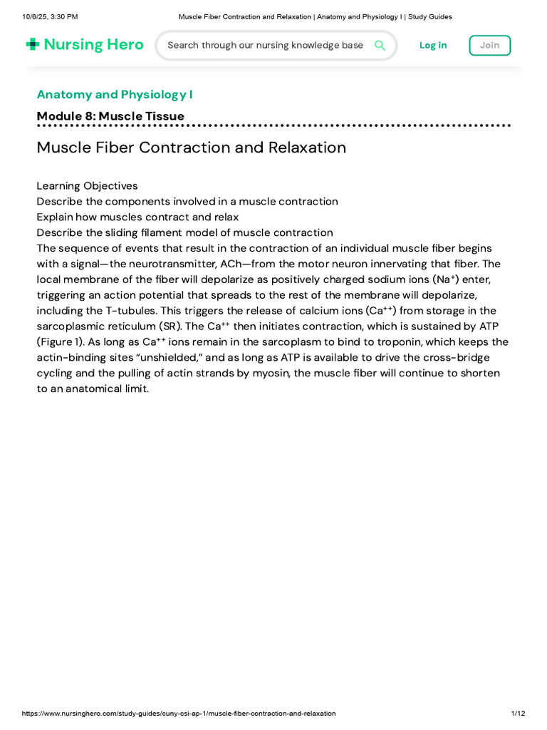 Muscle Fiber Contraction and Relaxation _ Anatomy and Physiology I ...