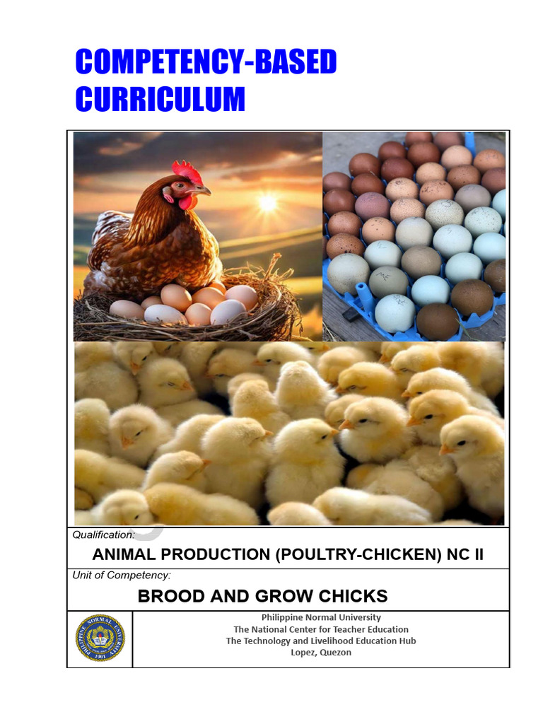 Brooding and Growing Chicks Course NC II | PDF | Birds