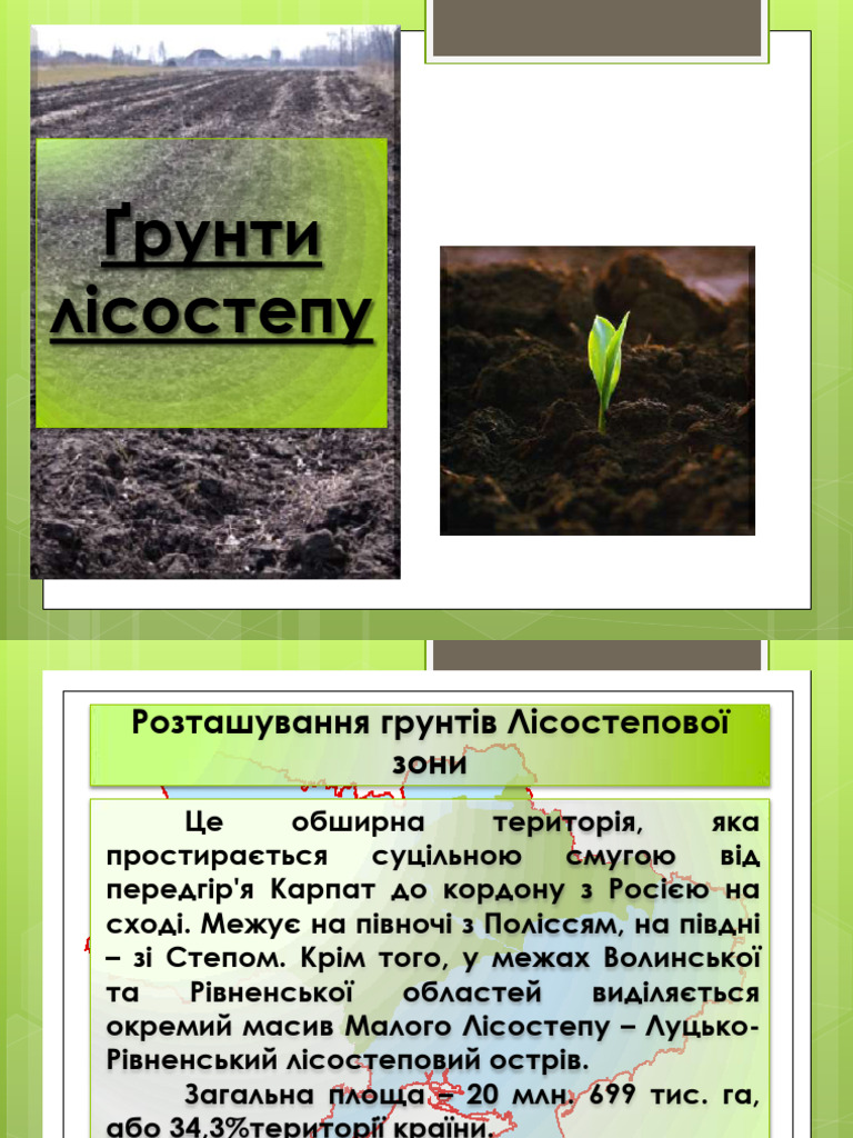 Goh Ah Hrunty Lisostepu | PDF