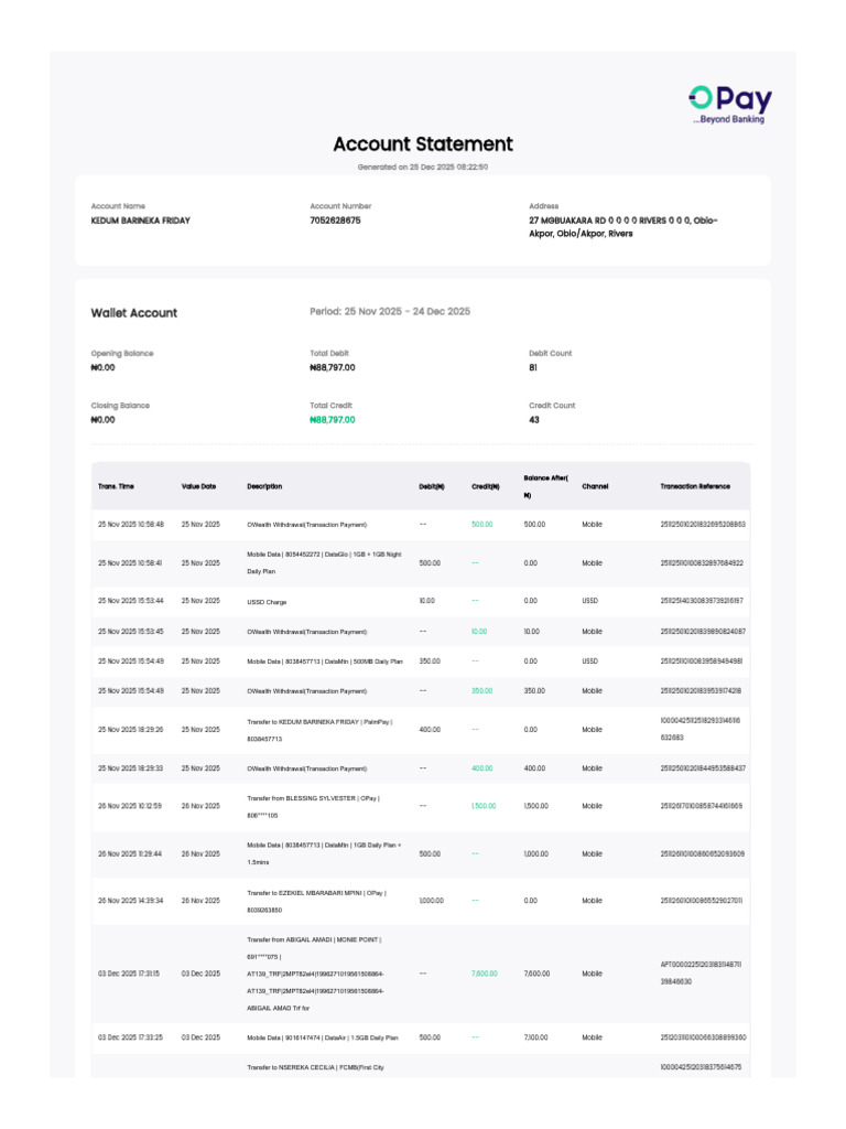 Wallet Account Statement Summary | PDF | Credit Card | Debit Card
