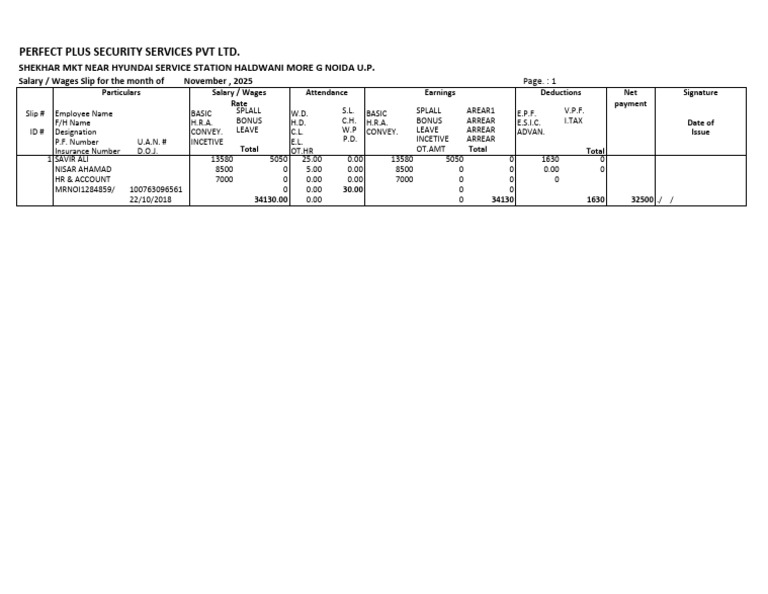 Savir Ali Payslip Nov2025 | PDF