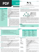 SST HISTORY Class X | PDF