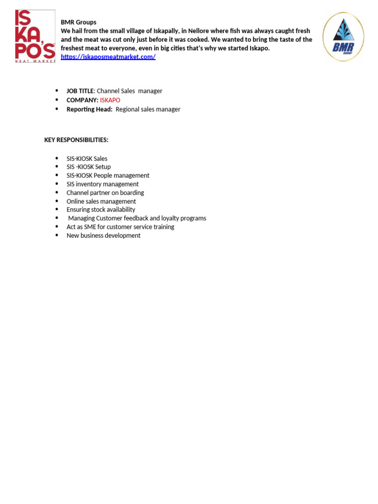 Channel Sales Manager | PDF