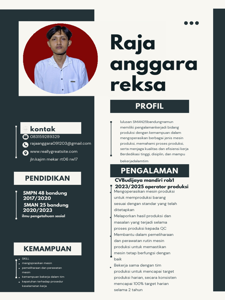 Pengalaman Kerja dan Pendidikan Raja Anggara | PDF