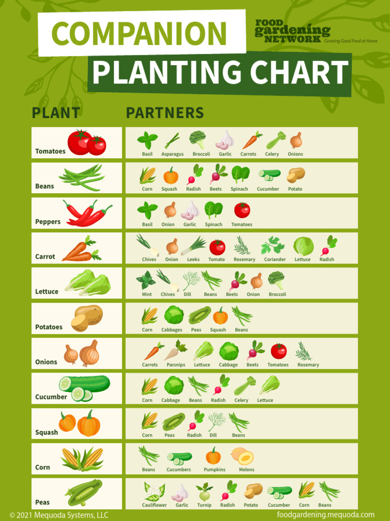 Guia para Plantar VerdurasFood Gardening Network Printable Companion ...