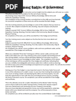 New Air Cadet Brassard Layout Guide | PDF | Marksman | Aviation