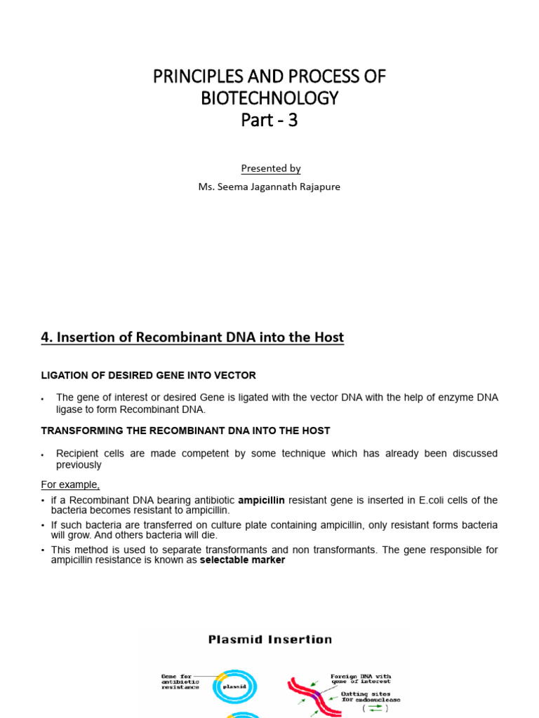 Part 3 - Principles and Process of Biotechnology | PDF | Dna Ligase | Dna