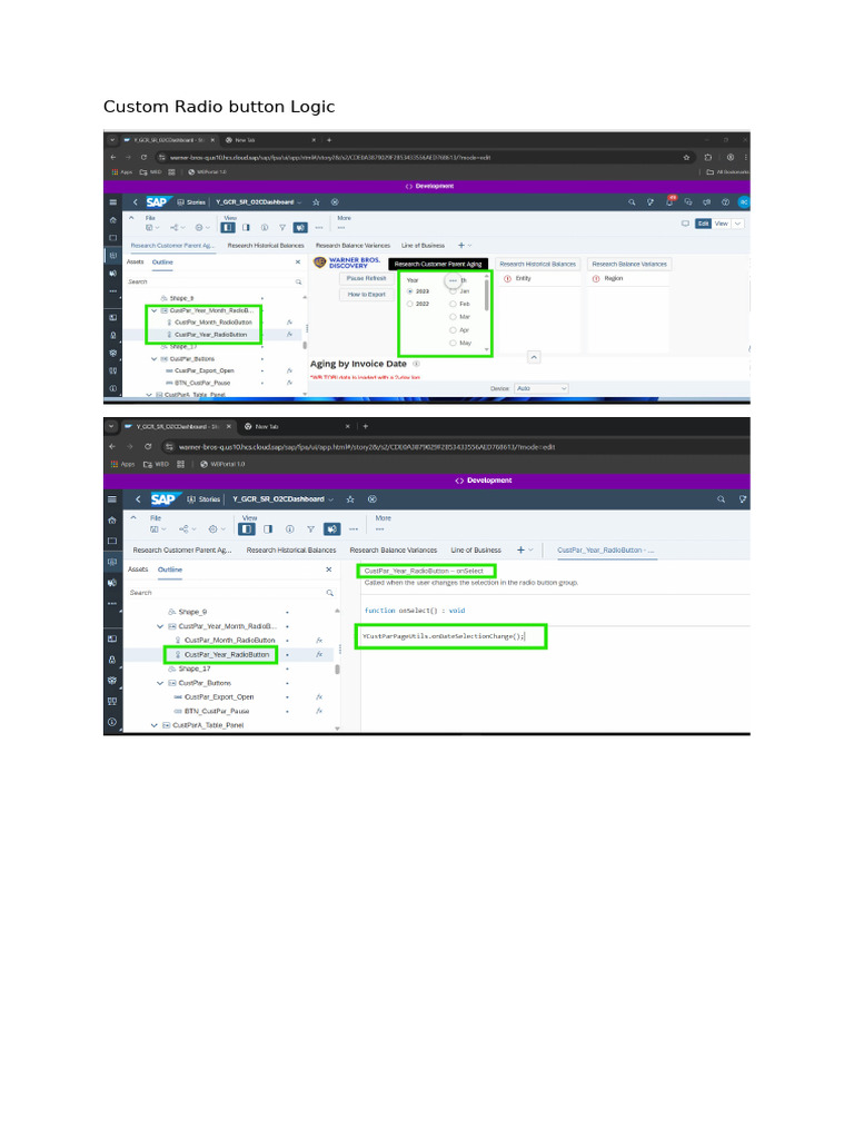 SAC - Custom Radio Button Logic | PDF