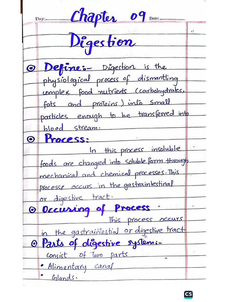 Digestion | PDF