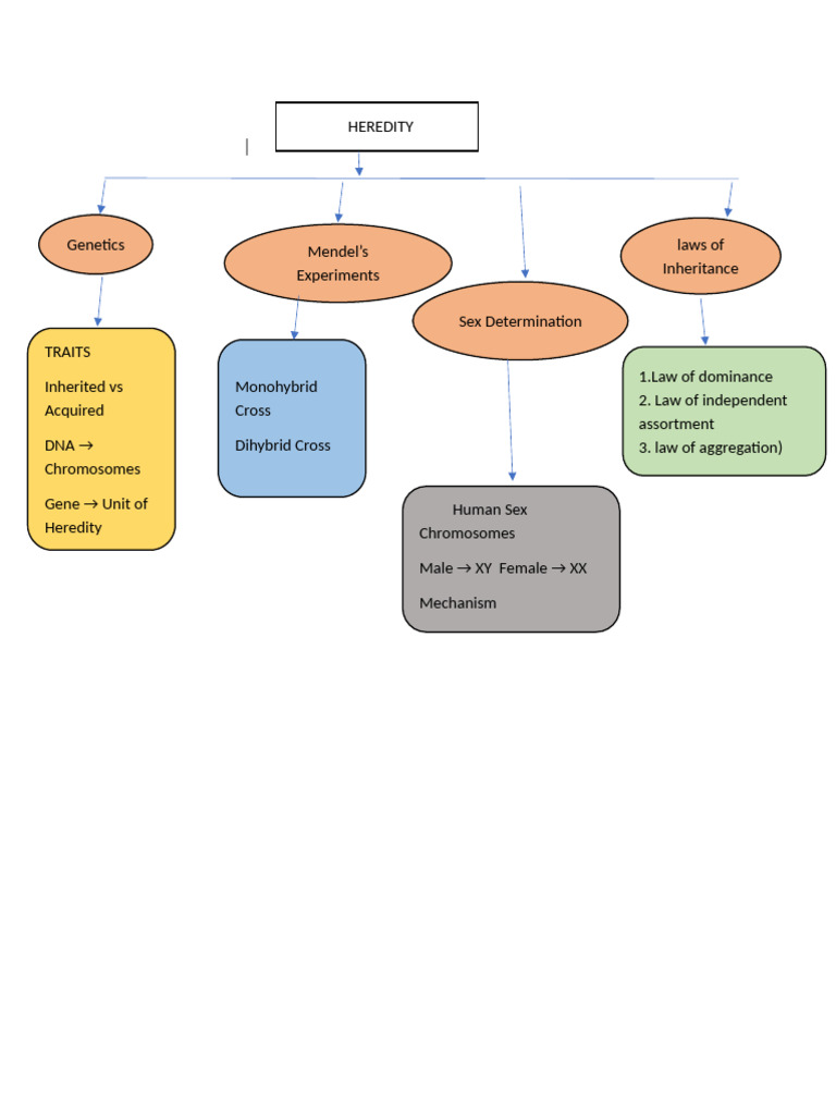 CH-8-Concept Map Heredity | PDF