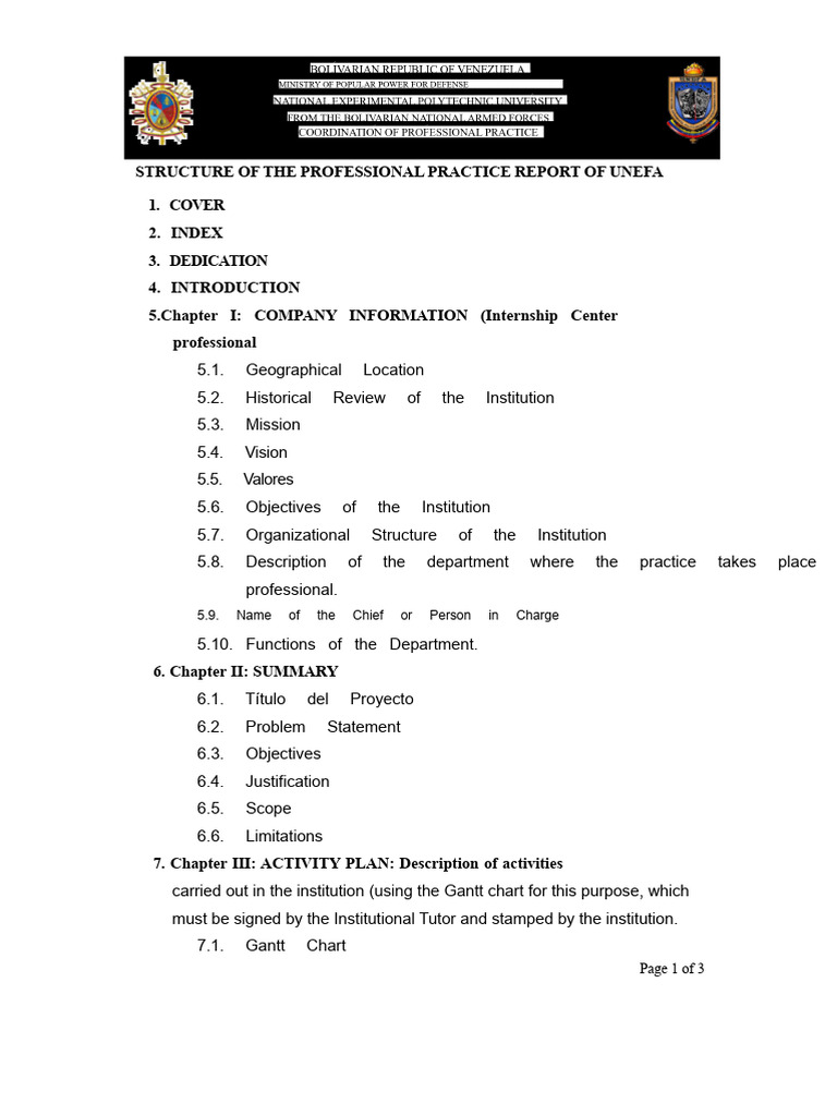 UNEFA Professional Practice Report Structure | PDF
