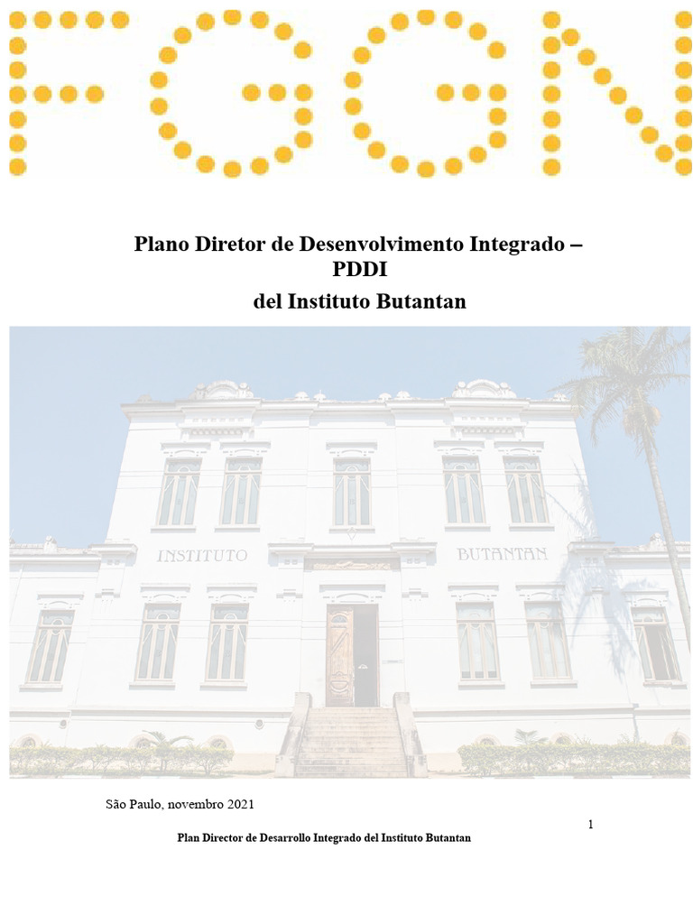 Anexo 1 PDDI Plan - Director | PDF | Sao Paulo