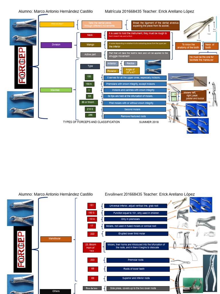 Types and Classification of Dental Forceps | PDF | Dental Anatomy | Tooth