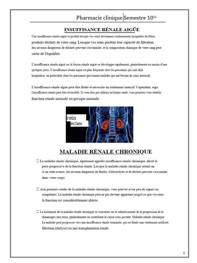 Insuffisance rénale : diagnostic et traitement | PDF | Insuffisance ...