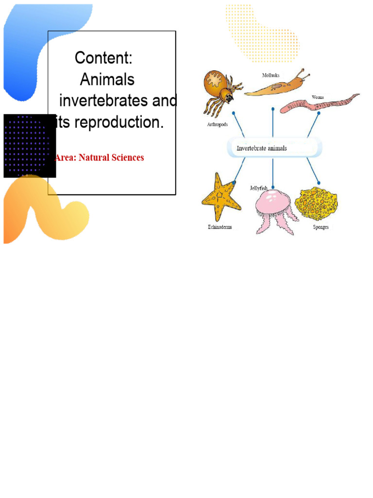 Invertebrate Animals and Reproduction | PDF
