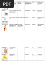 Chest Muscles Anatomy Chart | PDF