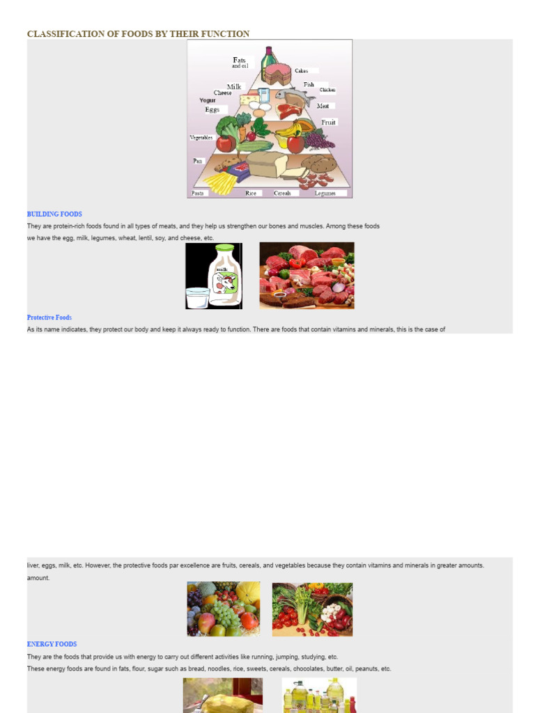 Classification of Foods by Their Function Model Samir | PDF
