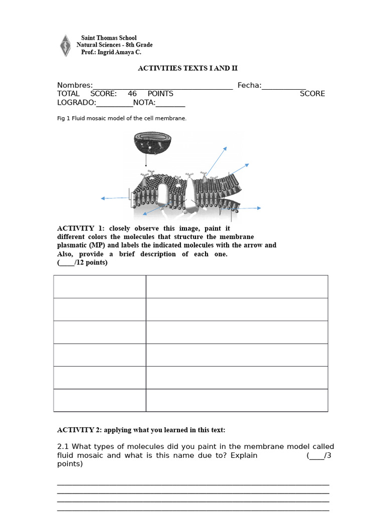 Activities 1 and 2 Membrane | PDF | Cell Membrane | Cell (Biology)