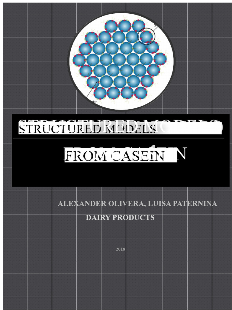 Casein Micelle Structural Models Explained | PDF | Milk | Proteins