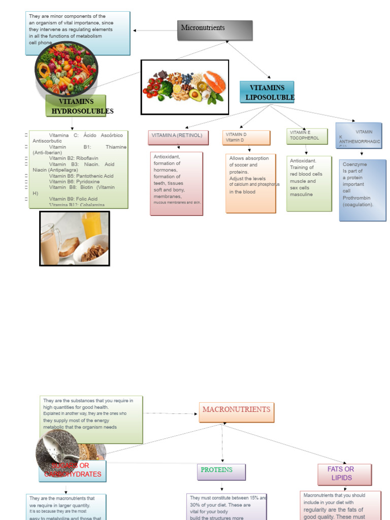 Macronutrients and Micronutrients | PDF | Vitamin | Nutrients