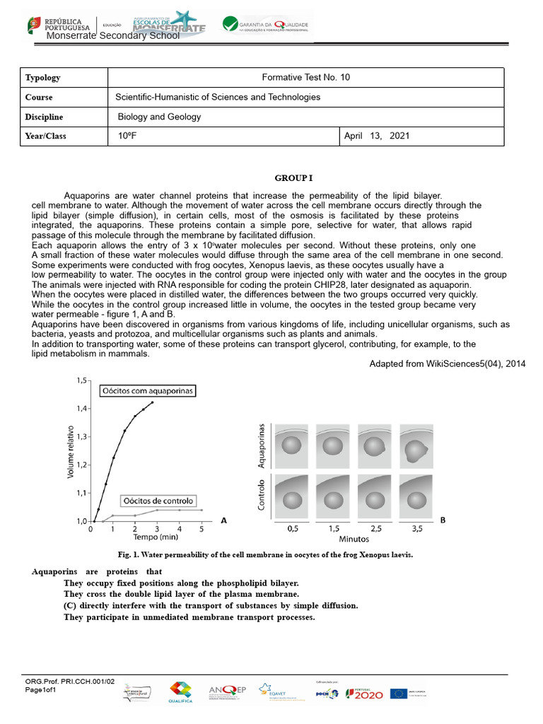 Formative Sheet No. 10 BIO-GEO | PDF | Cell Membrane | Photosynthesis