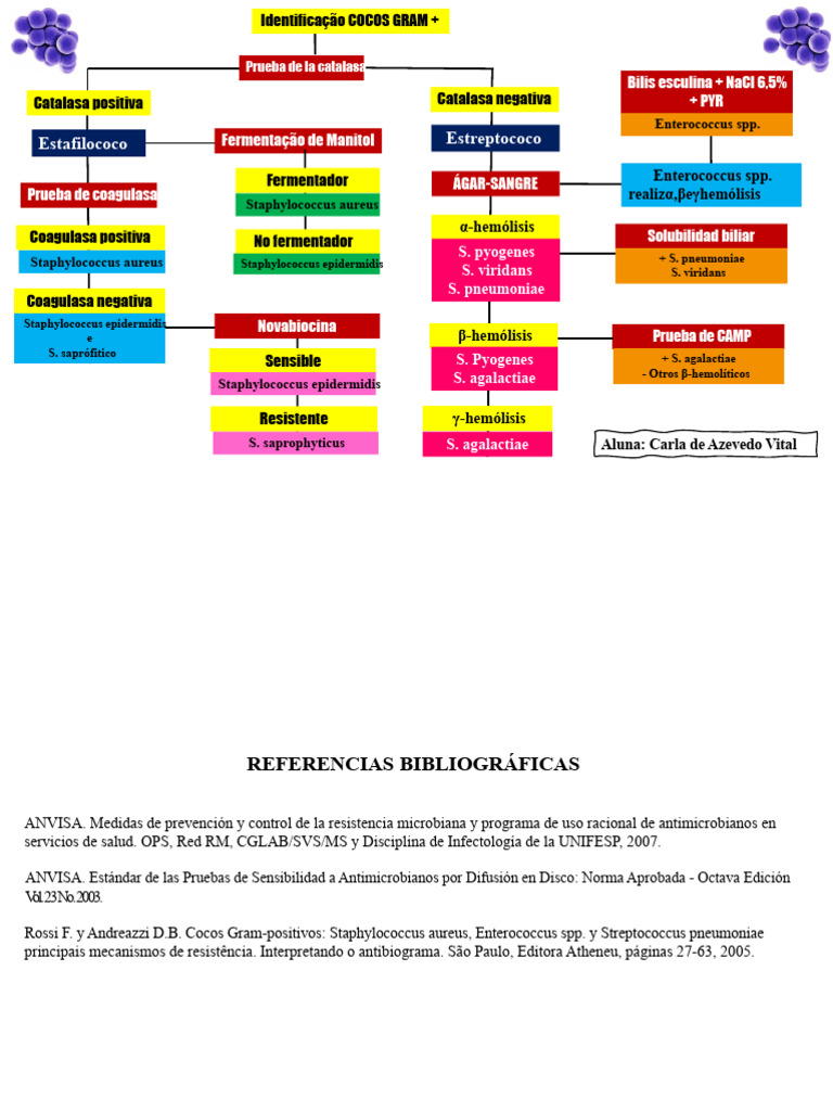 Pruebas de Identificación de Cocos Gram+ | PDF | Estreptococo ...