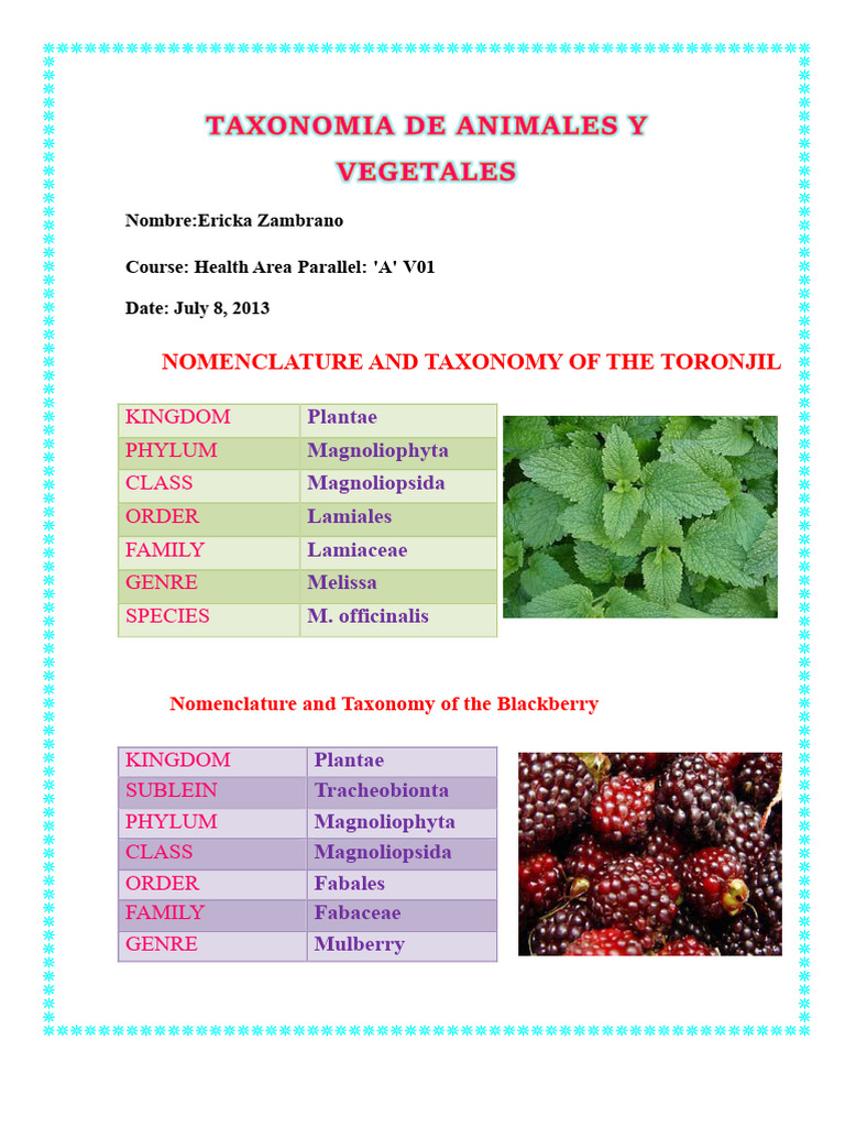 Taxonomy Animals and Plants | PDF | Biological Classification ...