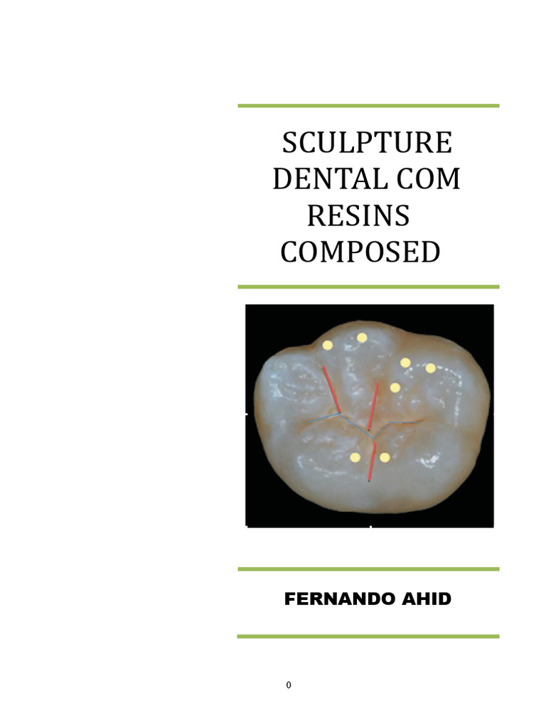 Dental Sculpture with Composite Resins | PDF | Dental Composite | Tooth ...