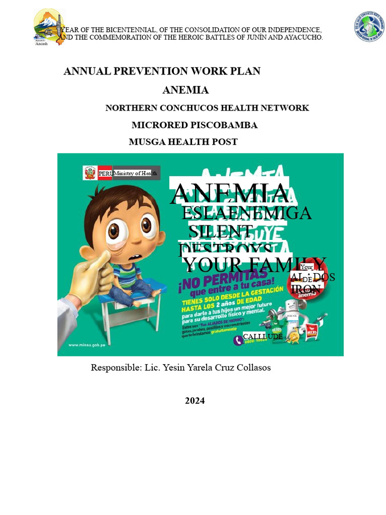 WORK PLAN FOR ANEMIA PREVENTION - 2024 - PS MUSGA - Yesin | PDF ...