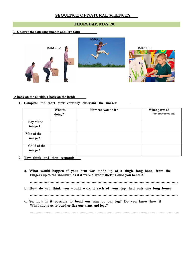 SEQUENCE OF NATURAL NUMBERS MAY FOR 4TH GRADE | PDF | Skeleton | Arm