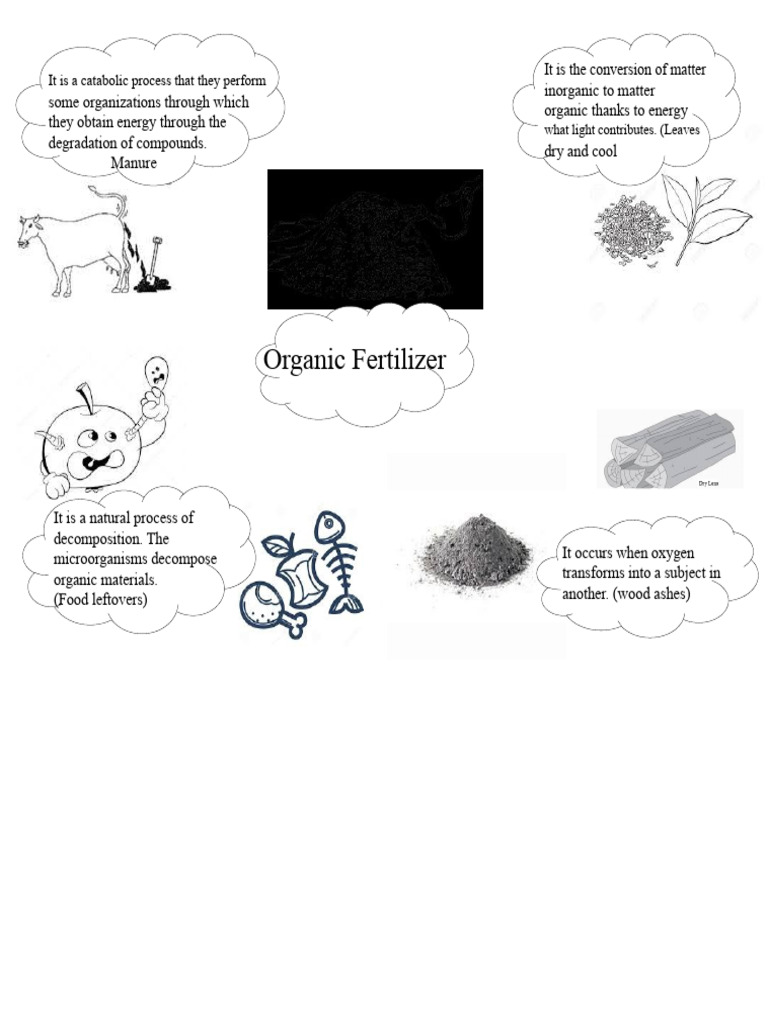 Organic Matter Conversion Process | PDF | Organic Matter
