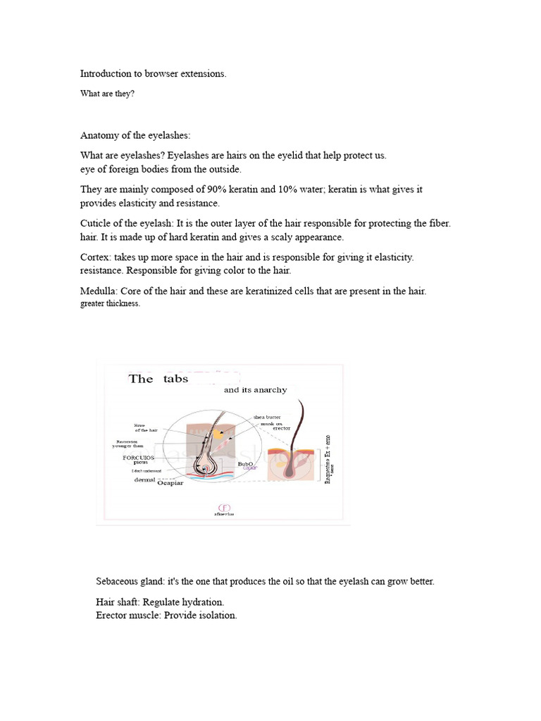 Introduction to eyelash extensions | PDF