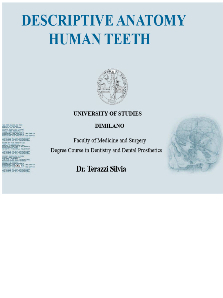 01 Descriptive Anatomy of Human Teeth | PDF | Tooth | Dentistry
