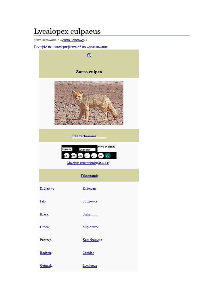 Czerwony lis | PDF