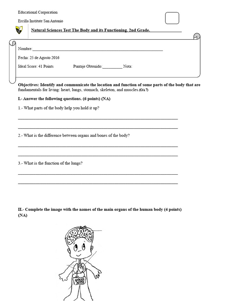 2nd Grade Body Function Test | PDF | Stomach | Lung