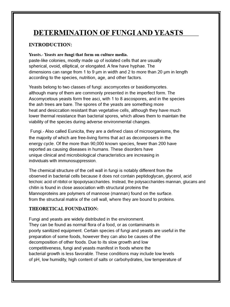 Fungi and Yeasts: Identification and Impact | PDF | Fungus | Mold
