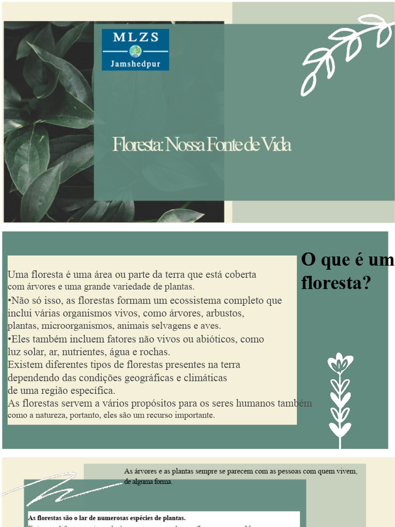 Capítulo 17 Floresta Nossa Linha de Vida | PDF | Florestas | Árvores