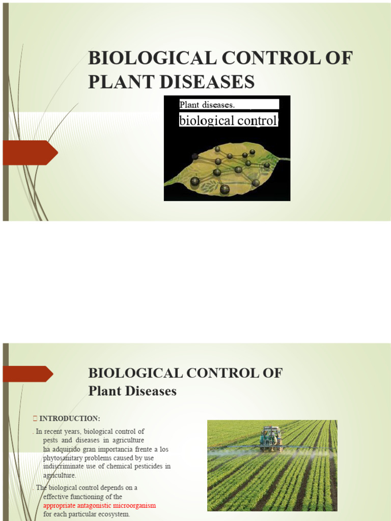 Biological Control of Plant Diseases | PDF | Biological Pest Control ...