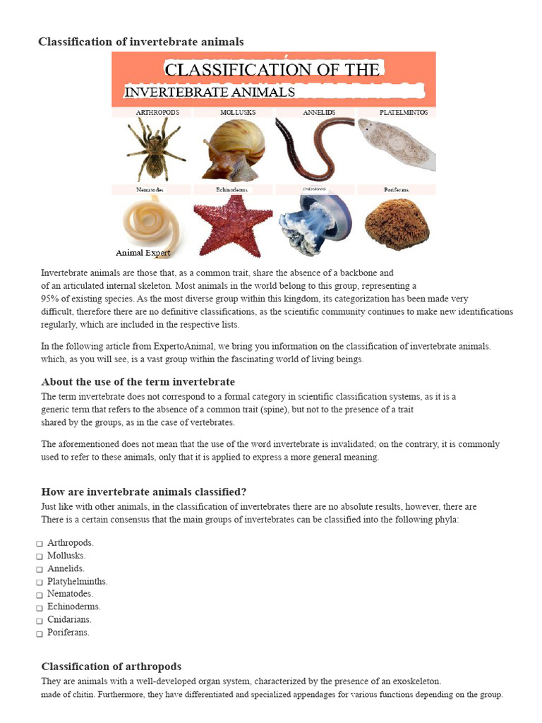 Classification of Invertebrate Animals | PDF | Invertebrate | Crustacean