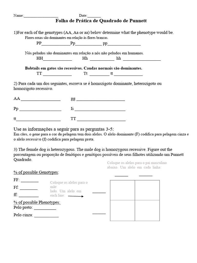 Folha de Prática do Quadrado de Punnett | PDF | Alelo | Genótipo