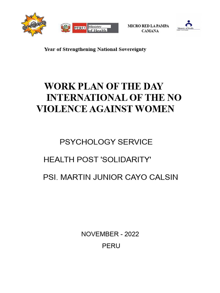 REPORT ON ACTIVITIES CARRIED OUT violence against women November | PDF ...