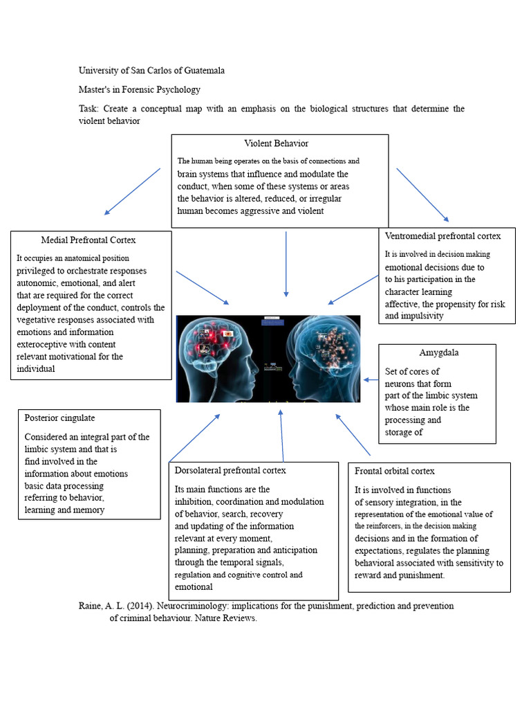 Conceptual Map of Biological Structures of Violence | PDF | Prefrontal ...