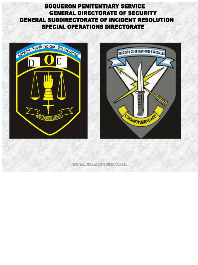 Progressive use of force SPB- | PDF | Prison | Police