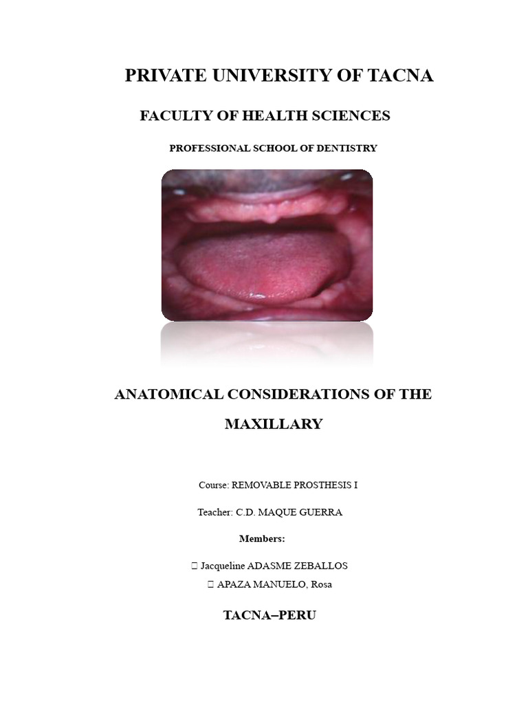 Prosthetic Anatomy of The Upper Jaw | PDF | Tongue | Mouth