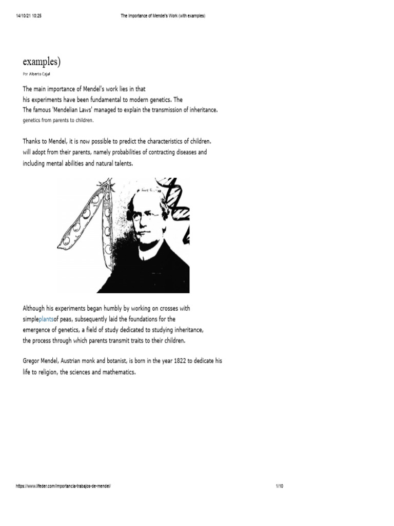 The Importance of Mendel's Work (with examples) | PDF | Genotype | Zygosity