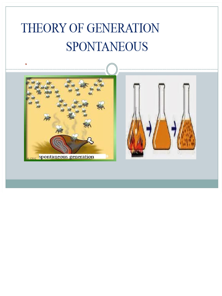 Spontaneous Generation Info 2023 | PDF | Science | Biology