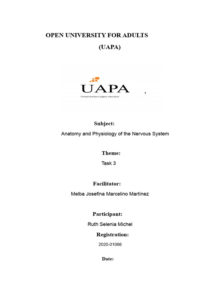 Task 3 of Anatomy and Physiology of The Nervous System. | PDF | Central ...